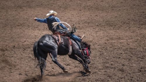 PROGRAMA DO RUBÃO - Notícias políticas